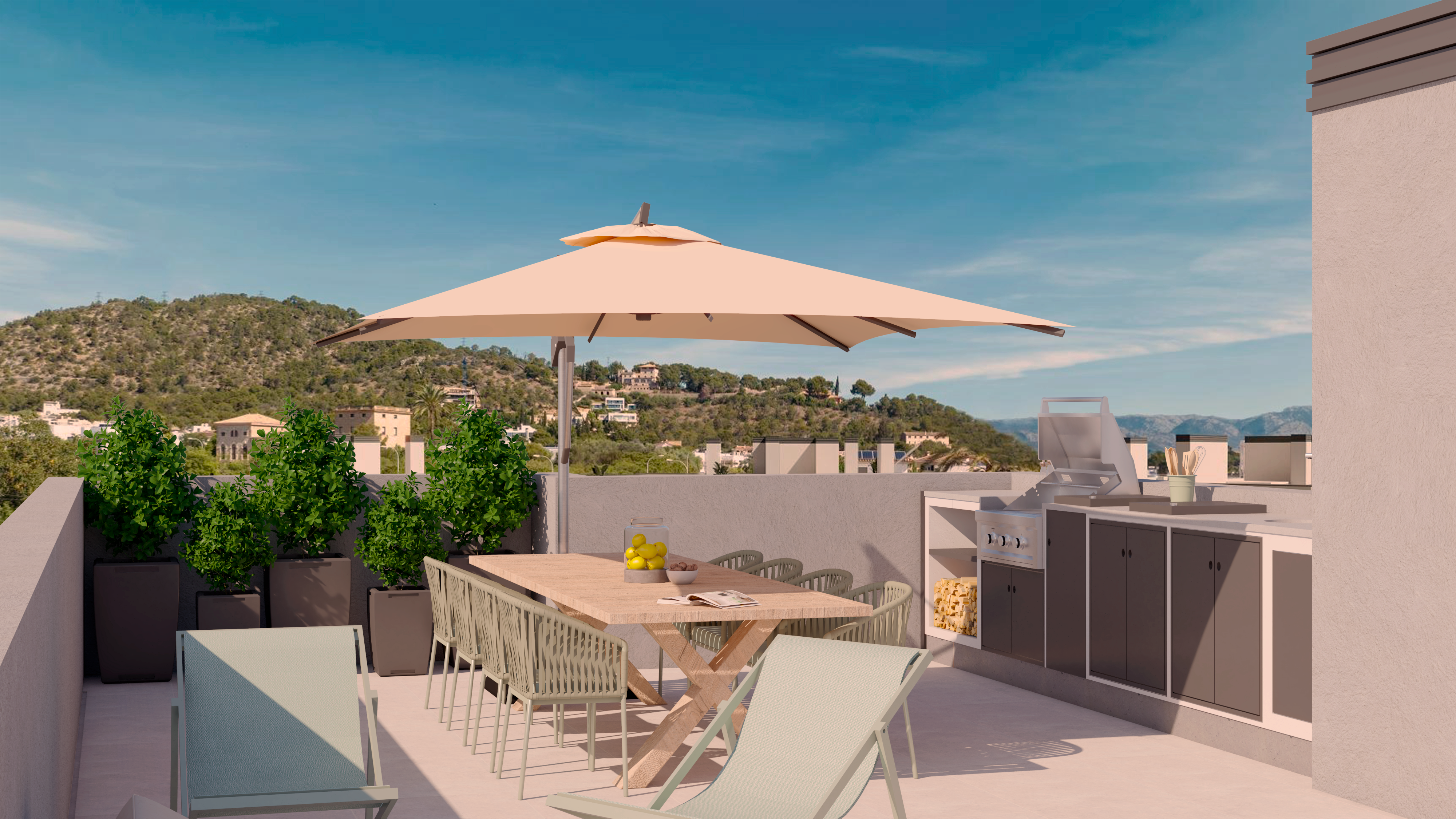 Reina Promotora Inmobiliaria